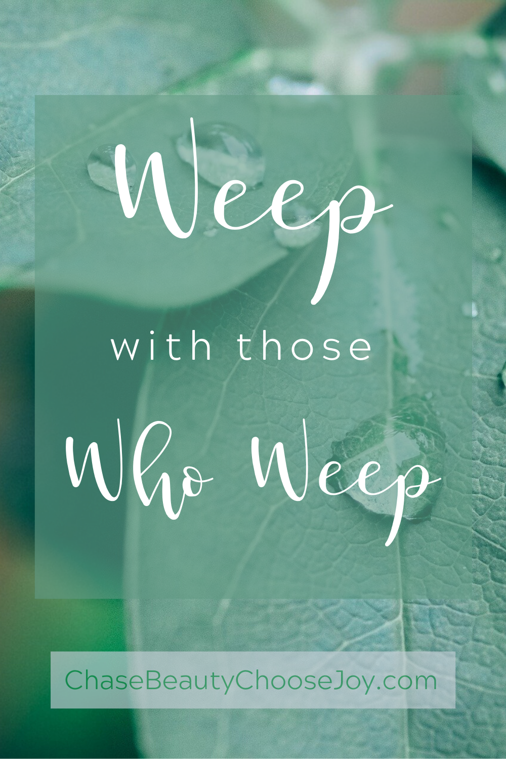 Weep With Those Who Weep – Chase Beauty, Choose Joy